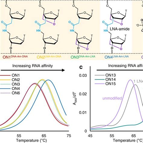 Synthesis Of Lna Amide Phosphodiester Chimeric Oligonucleotides A Download Scientific Diagram