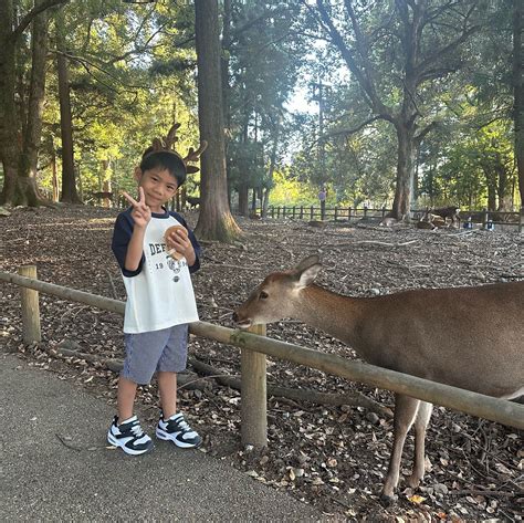 ကျောင်းက ဆရာမက မိဘဆရာဆွေးနွေးပွဲမှာ ရွှေဘုန်းက သင်္ချာနည်းနည်းညံ့ကြောင်း ပြောလိုက်လို့😂ကိုရ