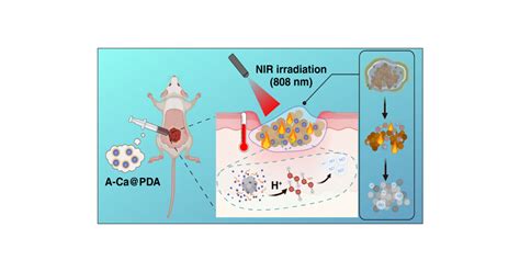 Polydopamine Nanocarriers With Cascade Activated Nitric Oxide Release Combined Photothermal
