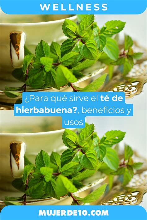 ¿para Qué Sirve El Té De Hierbabuena Beneficios Y Usos Te De