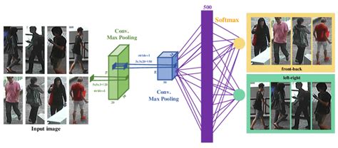 proposed architecture an input image is passed through the network