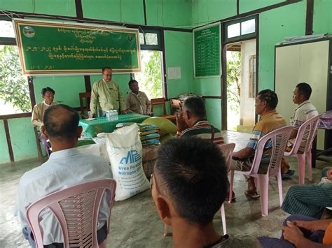 မိုင်းပျဉ်းမြို့၌ ၂၀၂၅ ၂၀၂၆ ခုနှစ်၊ မိုးစပါးမျိုးစေ့ထုတ်စိုက်ခင်းနှင့