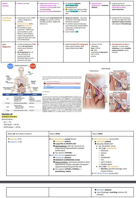 Surgery Eor Study Guide Etsy