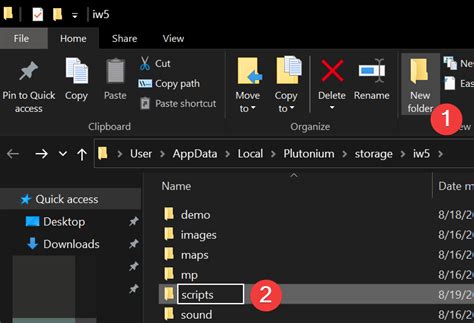 Loading Mods Into Plutonium Plutonium Project