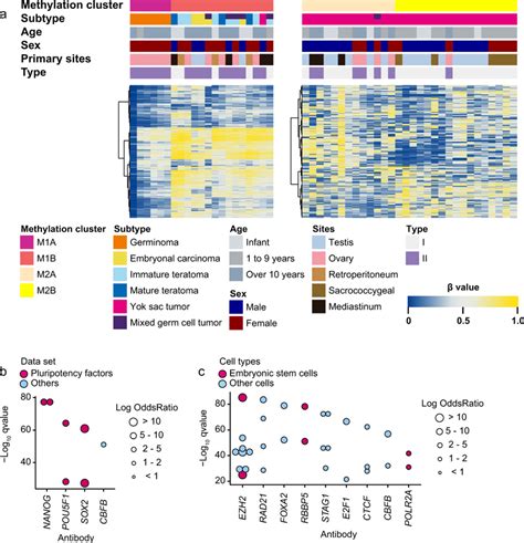 Dna Methylation Analysis Based On Two Step Unsupervised Consensus Download Scientific Diagram