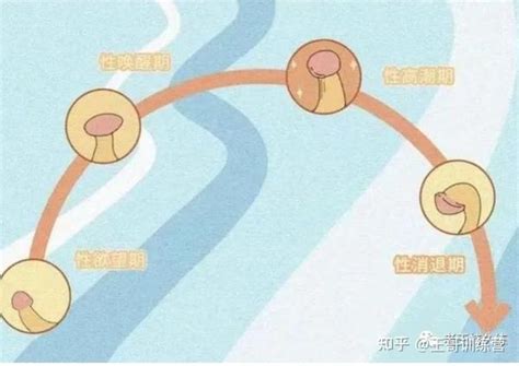 为什么双方通常无法同时高潮？ 知乎