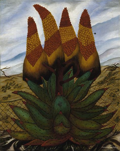 Aloes Smithsonian American Art Museum