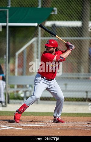 St Louis Cardinals Alec Burleson 41 Runs To Score On A Single Hit