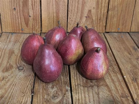 Pears Anjou Red Small Washington 2lb Bag Approx 6 Ottawa