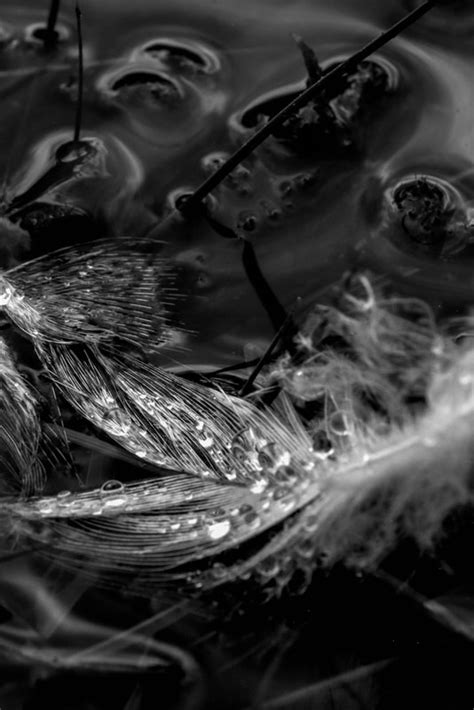 The Importance Of Floating Abby Raeder Contemplative Photographer