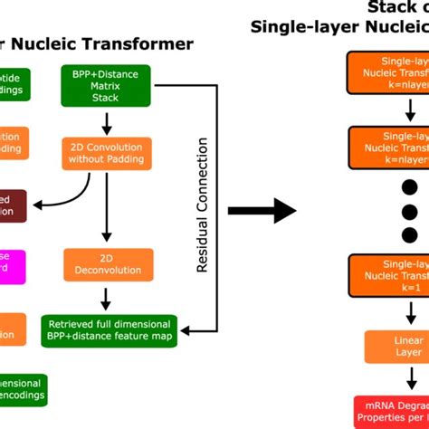 Nucleic Transformer Stack Which Takes Advantage Of Additional Input Download Scientific Diagram