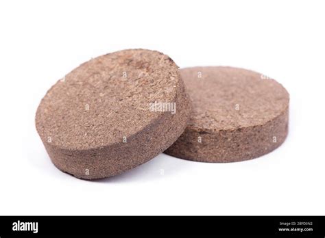 Dry Peat Pellets Compressed Compost Tablet Isolated Over The White