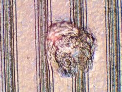 IGBT Failure Analysis Gideon Labs