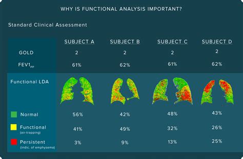 What Is A Lung Density At Rick Lewis Blog