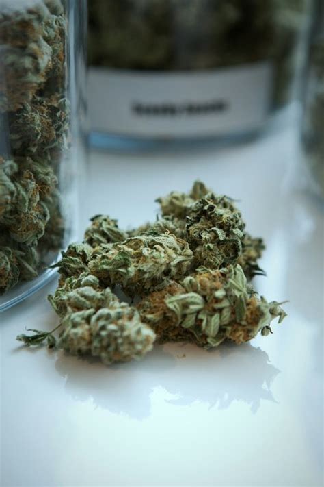 7 Best Weed Strains For Sex — Cannabismd Telemed 7 Best Weed Strains For Sex — Cannabismd Telemed