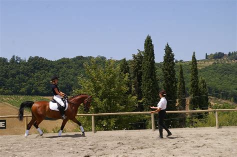 Classical Riding And Dressage Centre In Tuscany Italy Il Paretaio