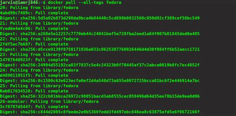 how to pull docker images [a step by step guide]