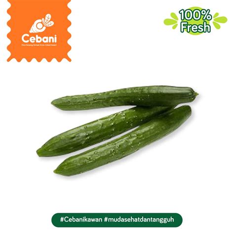 Jual Timun Kyuri 500 Gr Cebani Shopee Indonesia