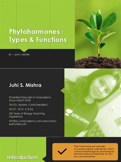 Phytohormone Types And Functions Pdf Plant Hormone Auxin