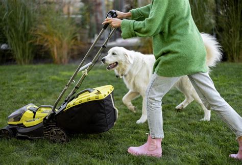 Grainy Dog Poop Causes Treatment And Prevention Dogcarelife