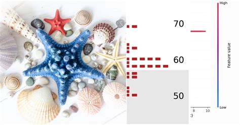 List Shap Curated By Pan Cretan Medium