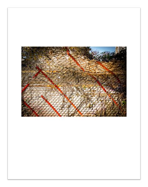 Fibonacci Images Haynes Photographs