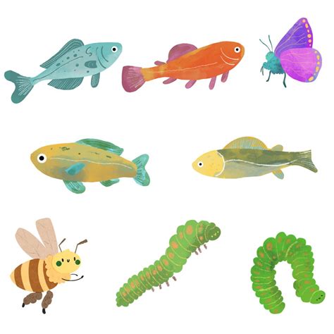 Rebecca Sheedy Asa Style File