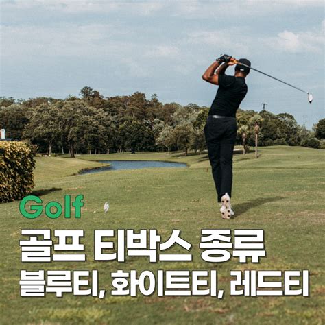 골프 티박스 종류 정리 블루티 화이트티 레이디티 네이버 블로그