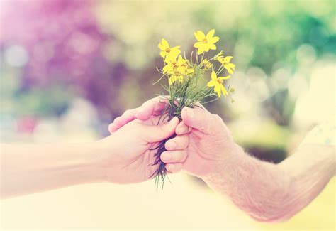 The Connection Between Acetylcholine Levels And Alzheimers Disease