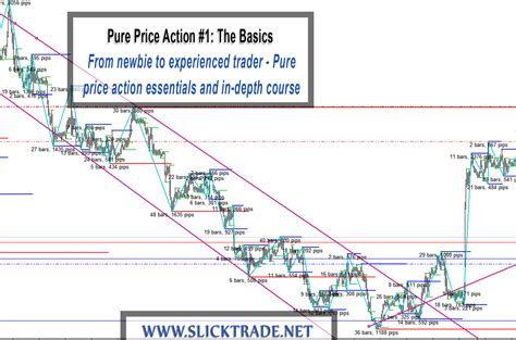 Pure Price Action Series 1 The Basics Slicktrade Academy Nadex