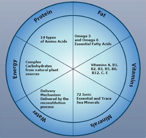 The 6 Essential Nutrients Macronutrients And Micronutrients Amino