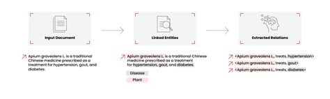 From Research Overload To Actionable Insights Ai In Biomedical Data Extraction