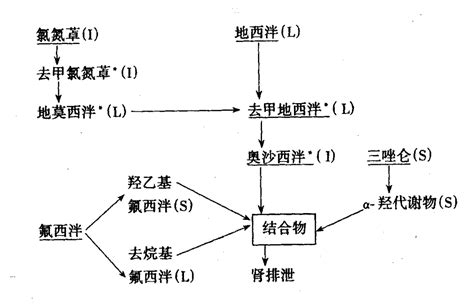 镇静催眠药 知乎