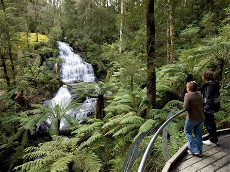 Discover Victorias National Parks The Best Hikes In Victoria