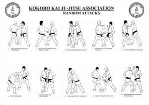 Kokorokairandomsheets Kokoro Kai Ju Jitsu Association