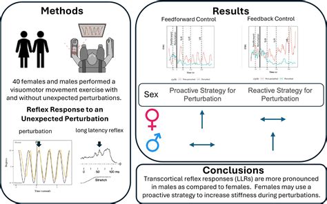 Biological Sex Influences Bilateral Transcortical Reflexes During
