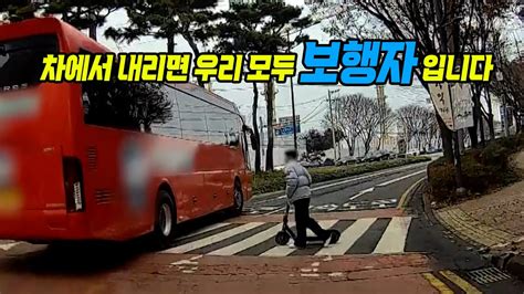 보행자 안전 횡단보도에서의 버스 위반