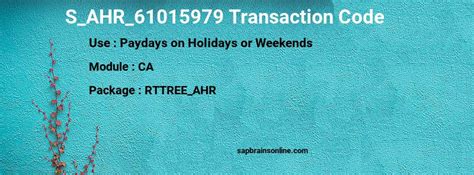 Sahr61015979 Sap Tcode For Paydays On Holidays Or Weekends