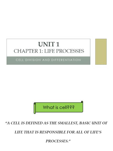 Cell Division And Differentiation Pdf Mitosis Cell Biology