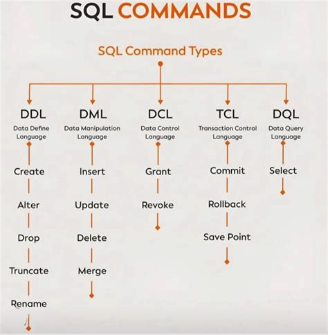 ‏تعرف على أنواع أوامر sql ودورها في إدارة البيانات في عالم قواعد