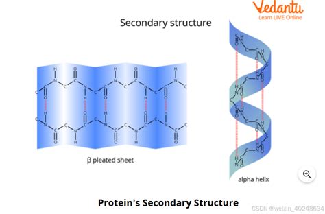 蛋白质二级结构 Beta Sheet Alpha Helix 如何从图像上辨别alpha Helix和beta Sheet Csdn博客