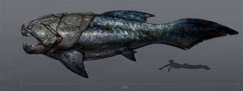 Sad Dinosaur Facts — Dunkleosteus “[david] Dunkles Bone” Late