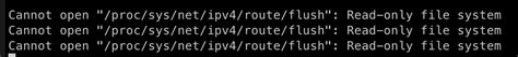 cannot open proc sys net ipv4 route flush read only file system