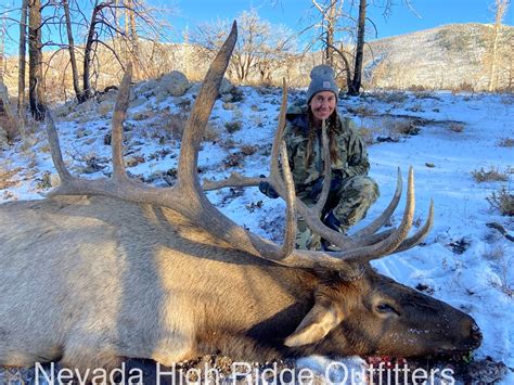 Nevada Elk Hunts Nevada High Ridge Outfitters