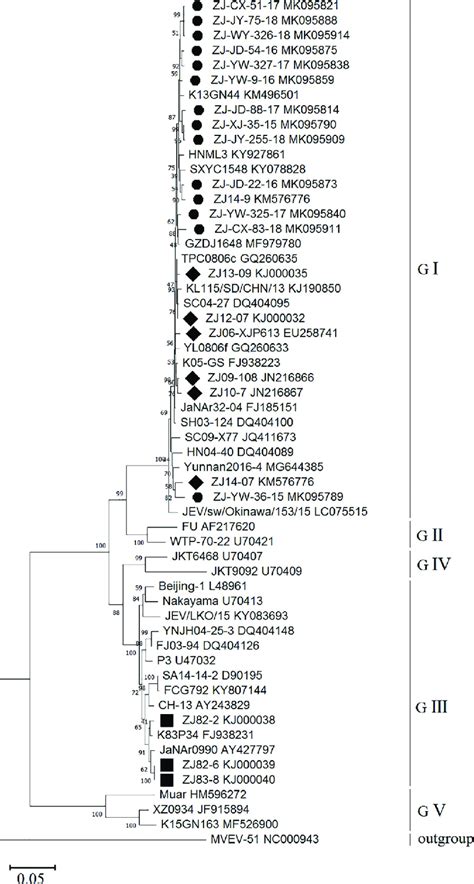 Phylogenetic Tree On 1500 Nt Envelope Gene Of Japanese Encephalitis Download Scientific Diagram
