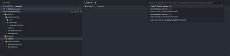 Workspace TypeScript Version Not Detected For Nested Folders I E Monorepo Issue
