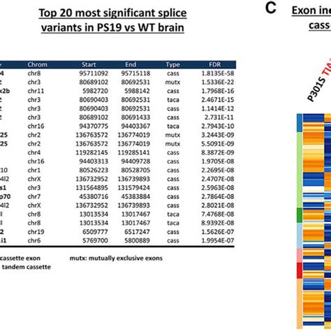 Mrna Transcripts Encoding Synaptic Proteins Are Alternatively Spliced Download Scientific