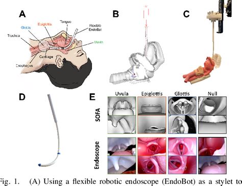Figure 1 From Sim To Real Segmentation In Robot Assisted Transoral