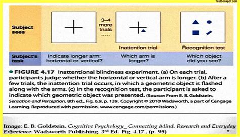Attention Psychology Experiment Part 4