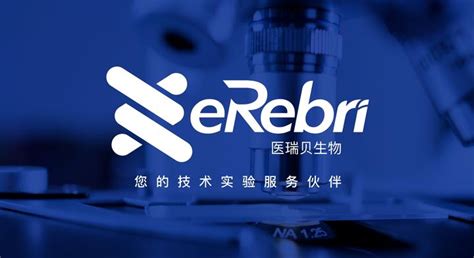 揭示血管新生调控机制！《自然—细胞生物学》最新发现 知乎